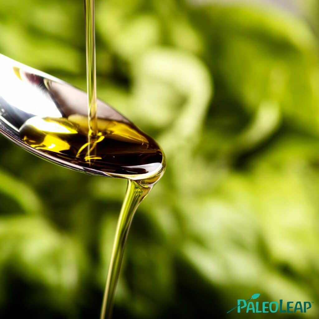 5 Healthy Paleo Fats And Their Sources | Paleo Leap