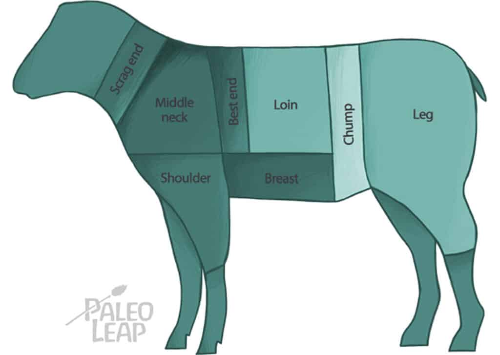 Beef, pork and lamb cuts | Paleo Leap