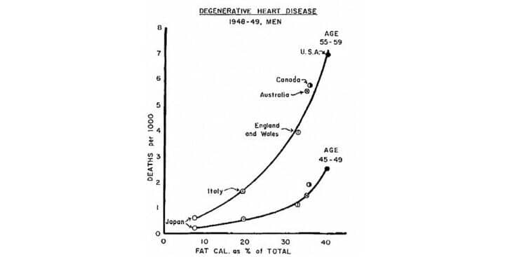 The Fear Of Saturated Fat And Cholesterol | Paleo Leap