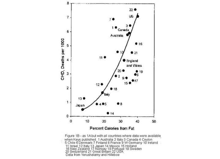 The Fear Of Saturated Fat And Cholesterol | Paleo Leap