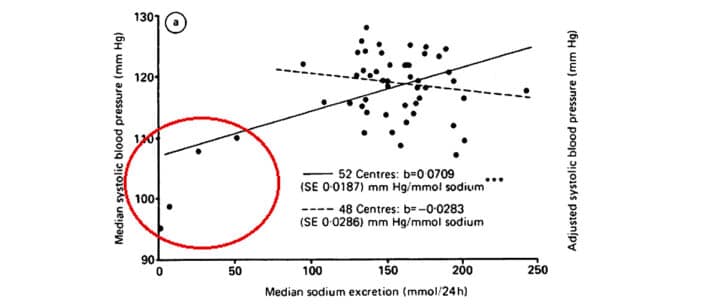 Salt And A Paleo Diet | Paleo Leap