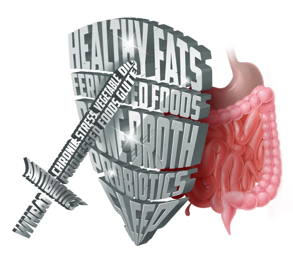Paleo And IBS | Paleo Leap