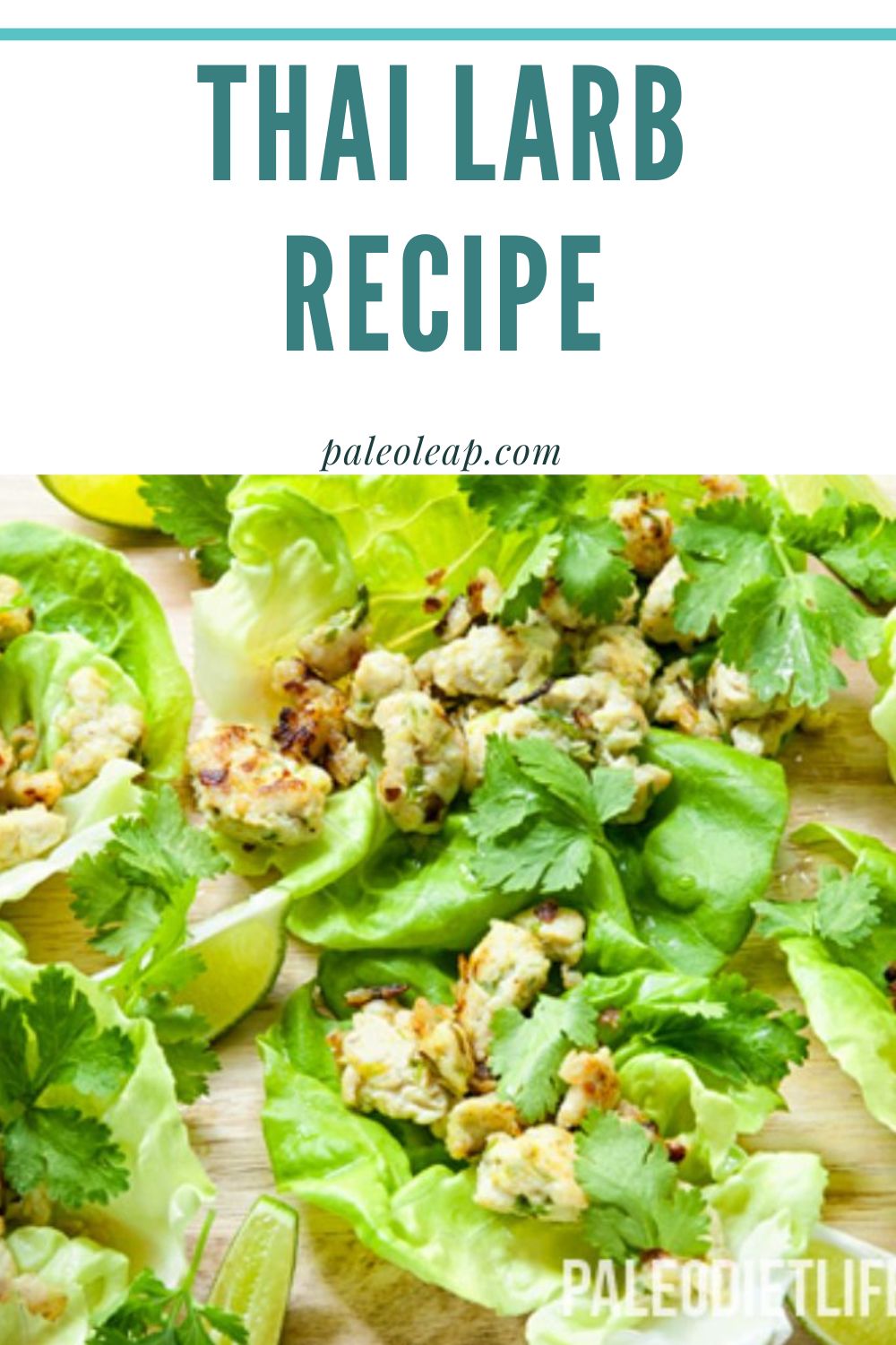 Thai Larb Recipe | Paleo Leap