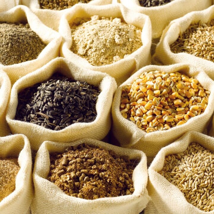 Addition vs. Subtraction: When Paleo is All About the Grains | Paleo Leap