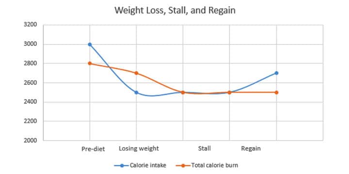 Managing a Weight-Loss Plateau | Paleo Leap