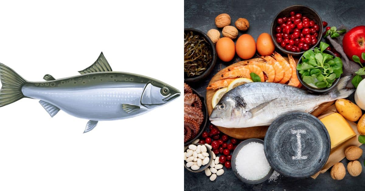 Iodine: Are You Getting Enough? | Paleo Leap