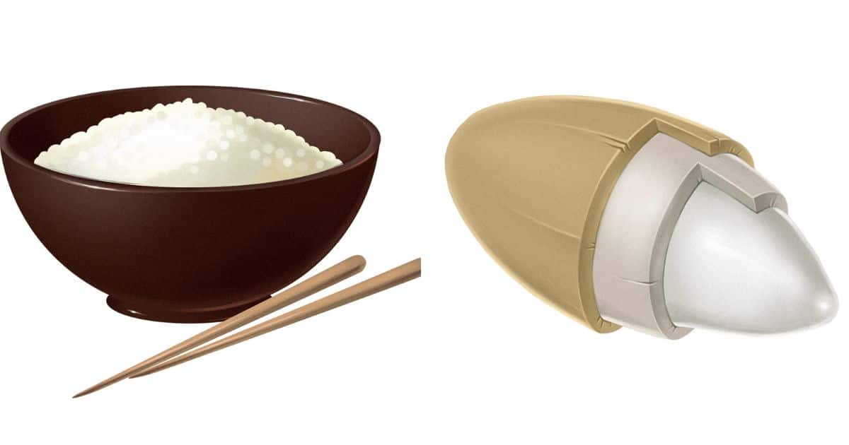 All About Rice | Paleo Leap