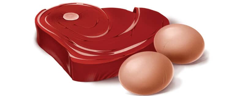 How Human Brains Evolved with Meat | Paleo Leap