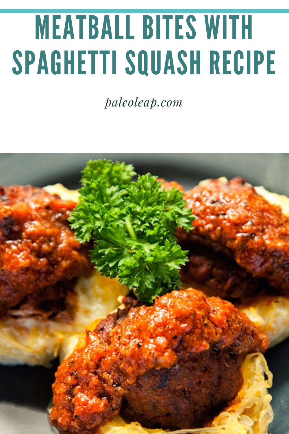 Meatball Bites With Spaghetti Squash Recipe | Paleo Leap