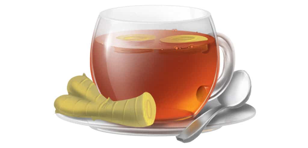 A Paleo Guide to Picking the Best Coffee | Paleo Leap