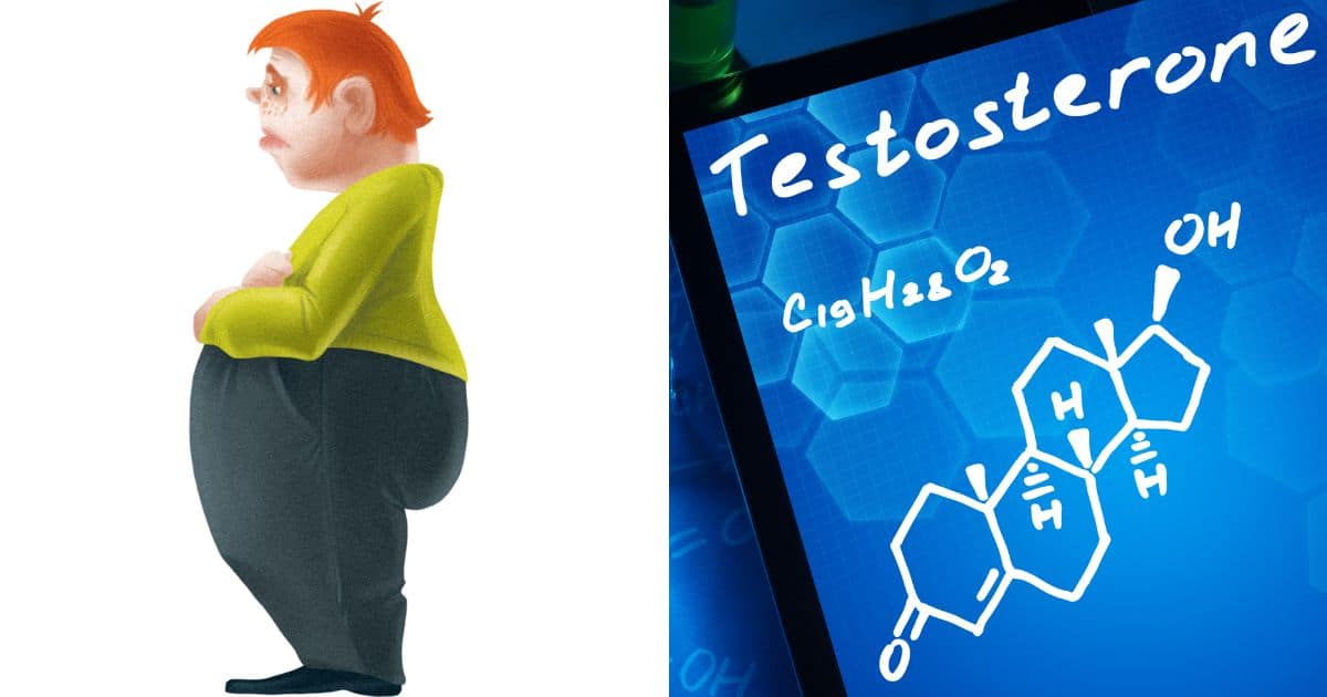 What Men should Know About Testosterone and Weight Loss | Paleo Leap