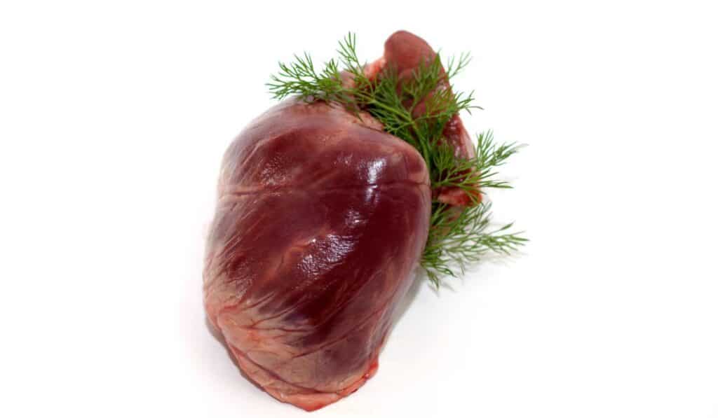 Paleo Foods: Heart | Paleo Leap