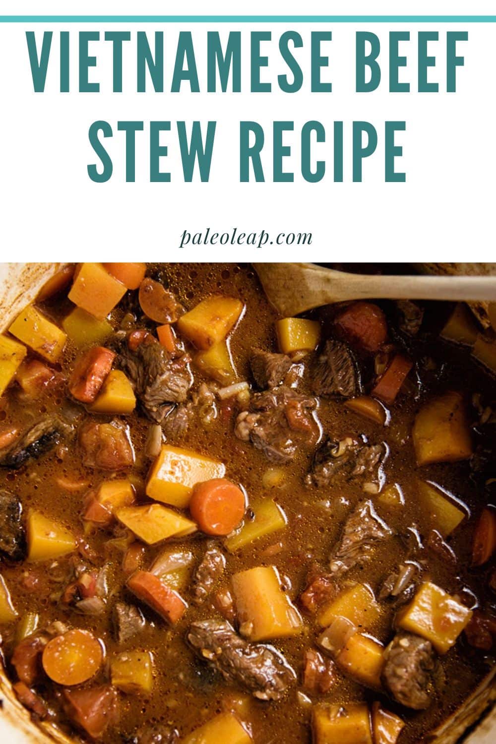 Vietnamese Beef Stew Recipe | Paleo Leap