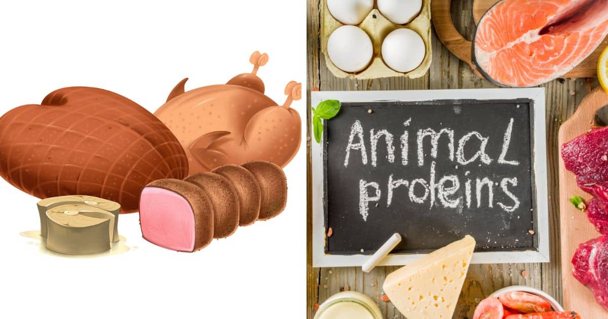 In Defense of Animal Protein | Paleo Leap