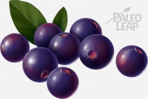 Your Brain On Paleo | Paleo Leap