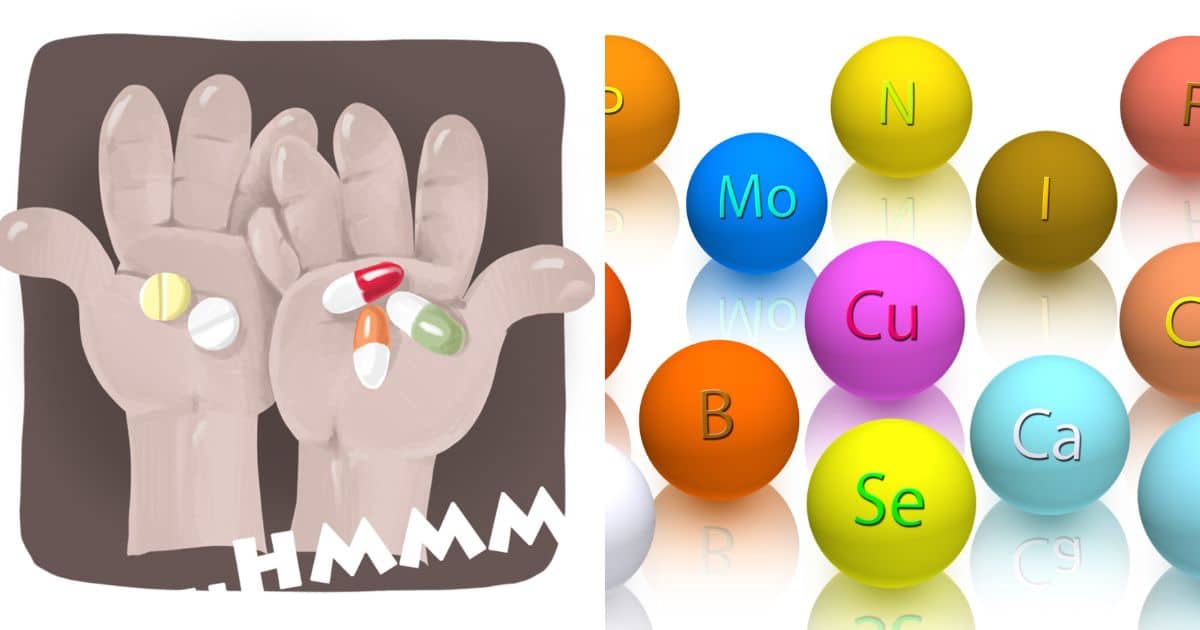 Nutrient Synergy: Why Whole Foods Beat Supplements | Paleo Leap