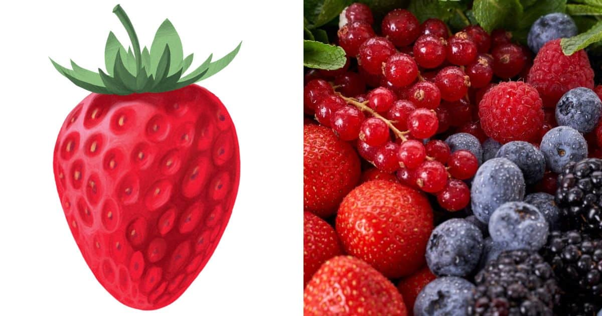 Paleo Foods: Berries | Paleo Leap