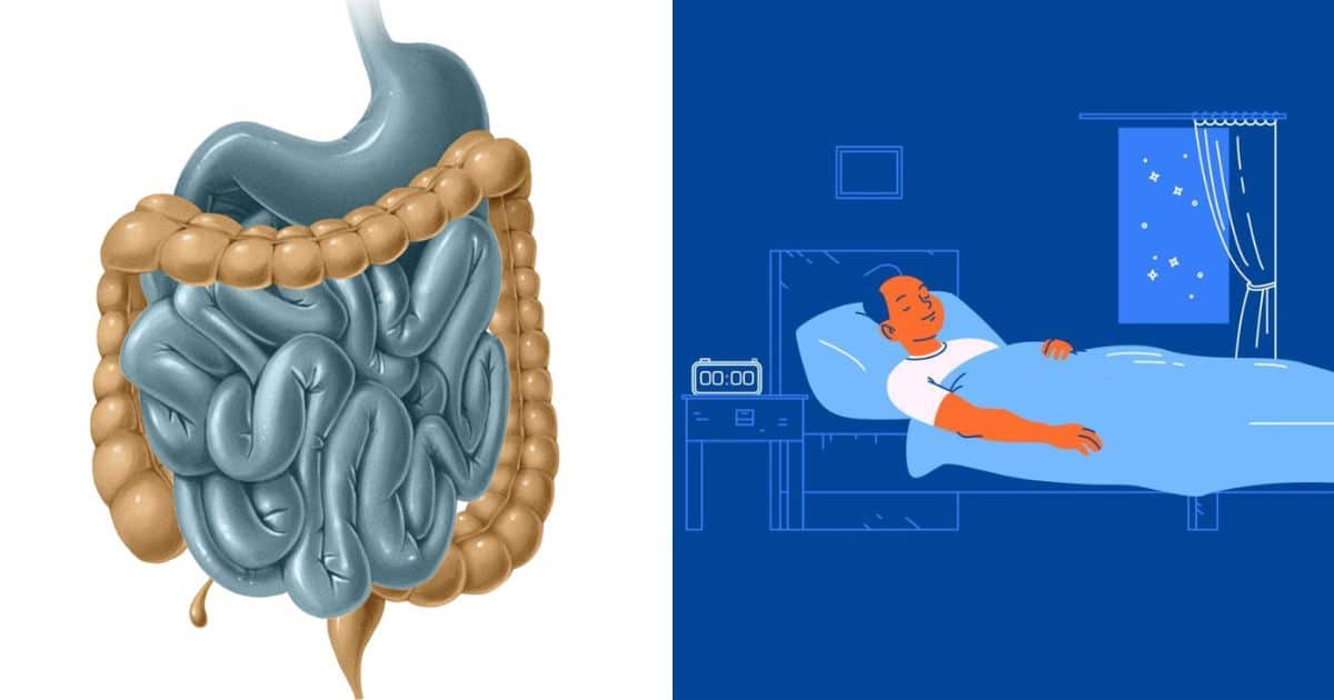 Sleep, Weight, and your Gut: It’s All Related | Paleo Leap