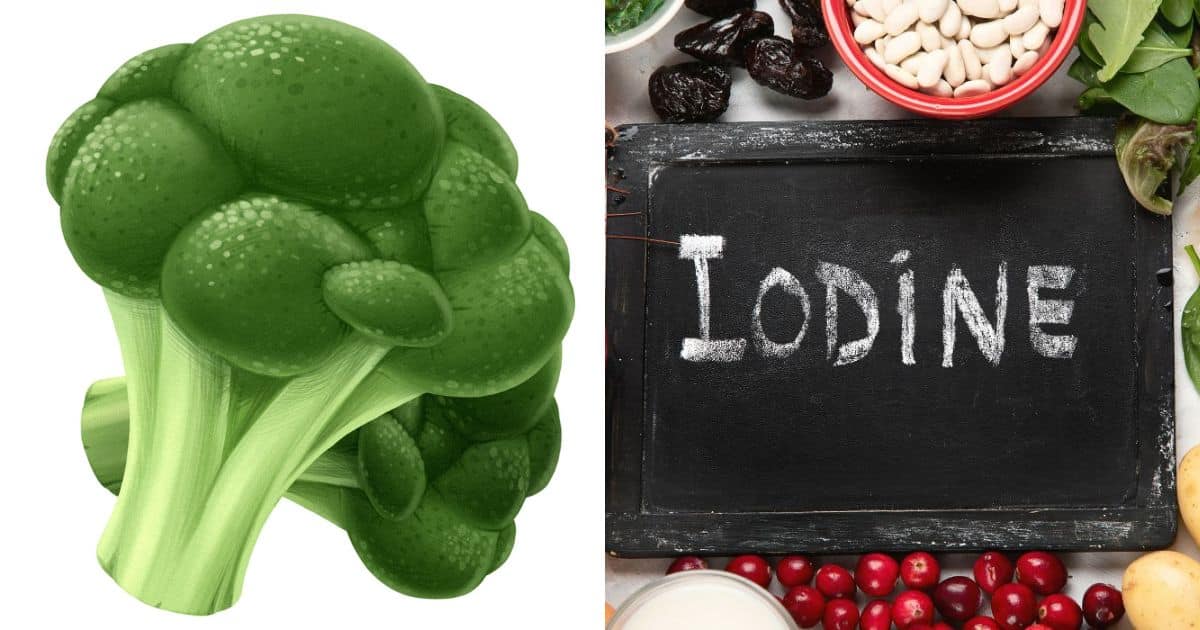 Goitrogens & Iodine: Why you Probably Don’t Need to Worry | Paleo Leap