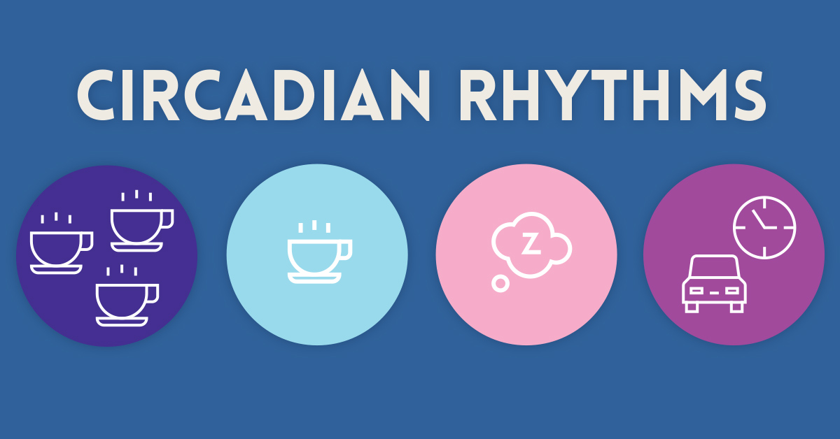 Infographic: Circadian Rhythms & Cortisol | Paleo Leap