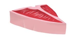 5 Things to Know About That Red Meat Study | Paleo Leap