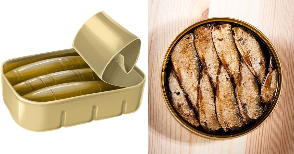 Canned Fish: What to Know, What to Buy, What to Avoid | Paleo Leap