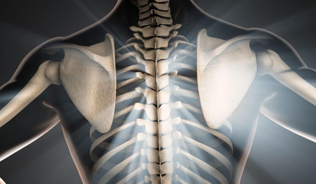 Why Stomach Acid is Important for Bone Health | Paleo Leap