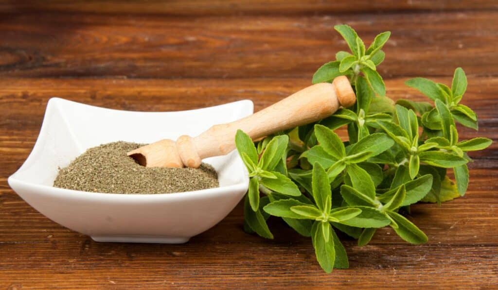 All About Stevia | Paleo Leap