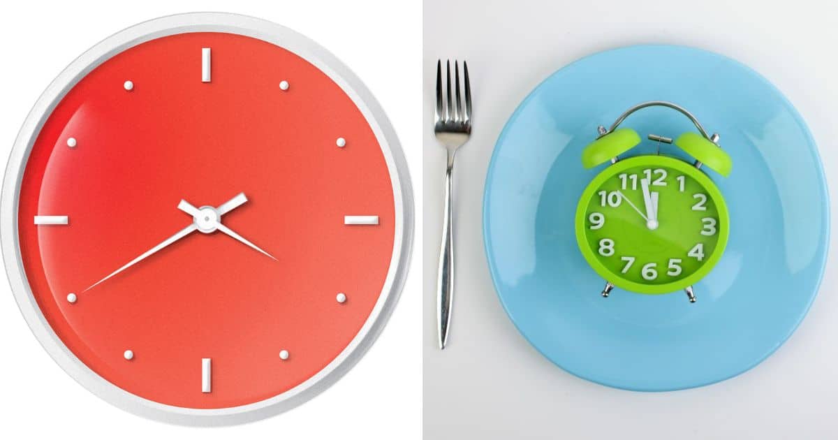 Meal Timing: Just the Basics | Paleo Leap