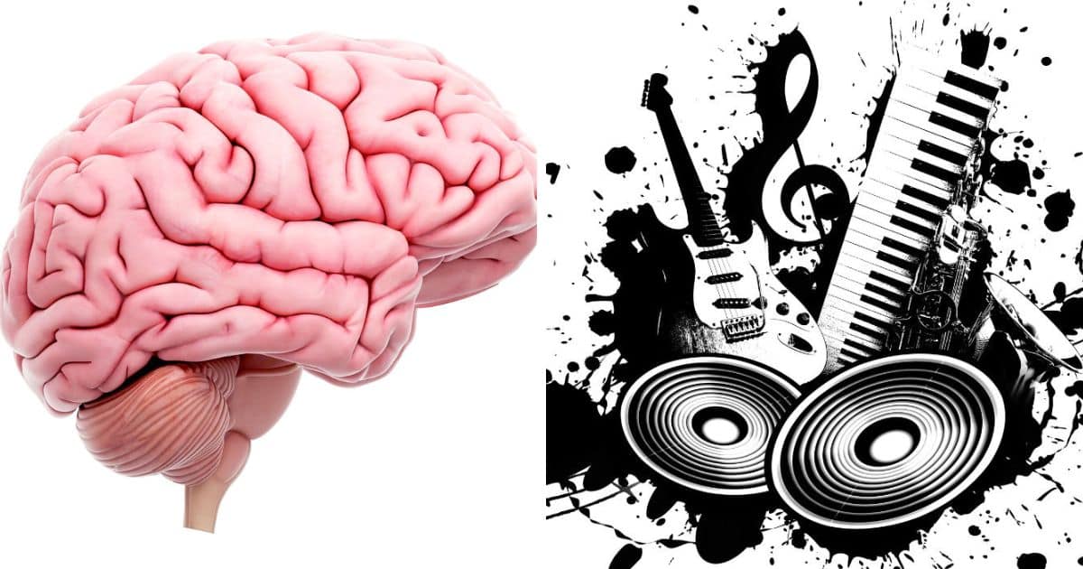 Music: An Underrated Paleo Tool? | Paleo Leap