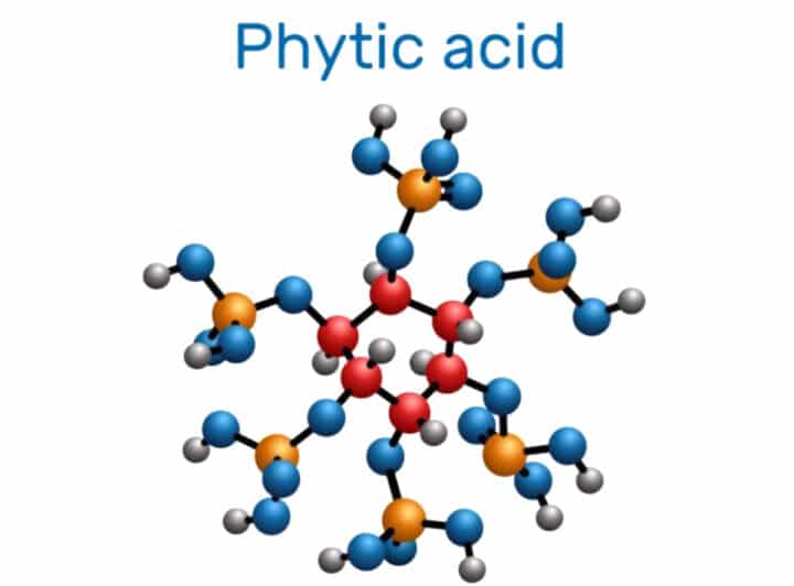 Phytic Acid: A Complicated "Antinutrient" | Paleo Leap