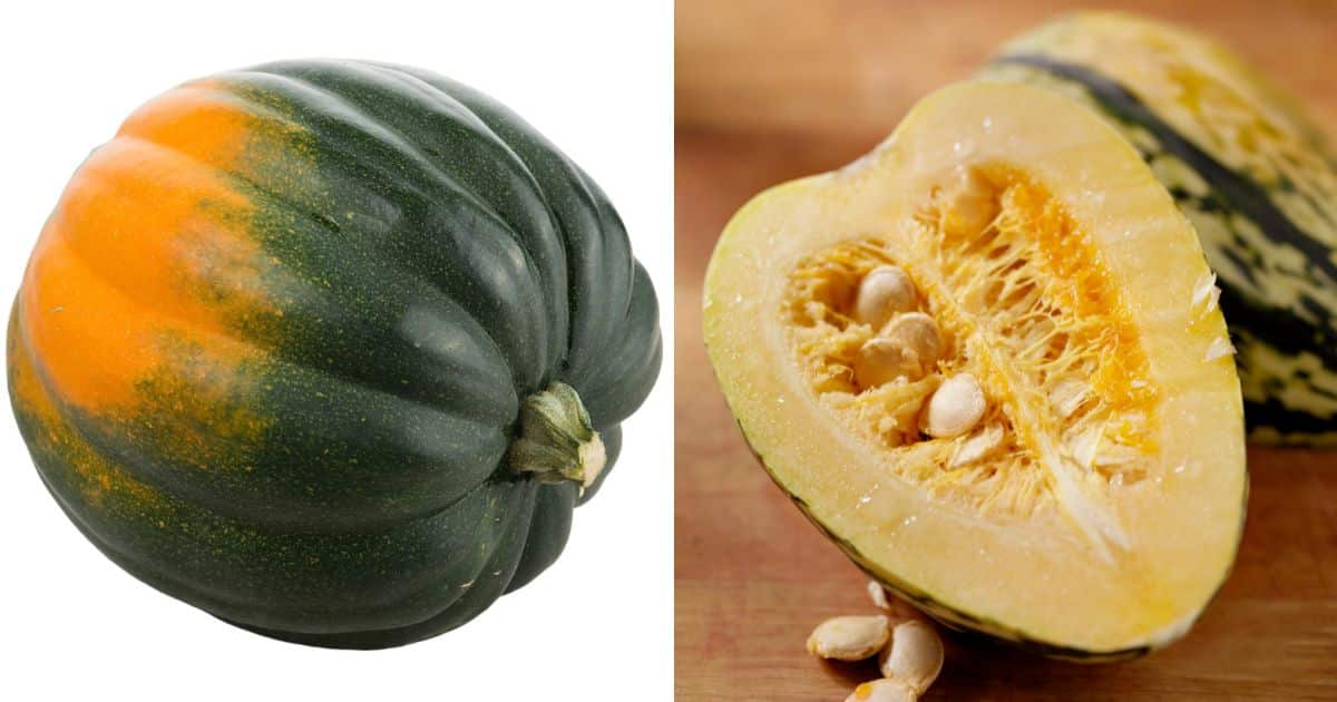 Paleo Foods: Acorn Squash | Paleo Leap