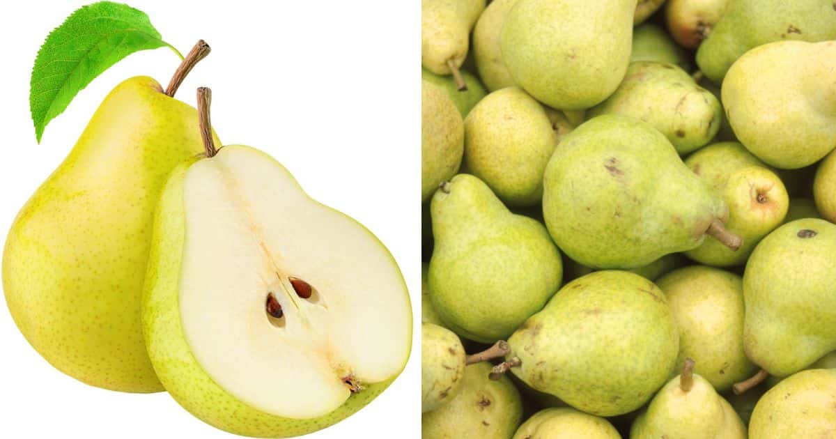 Paleo Foods: Pears | Paleo Leap