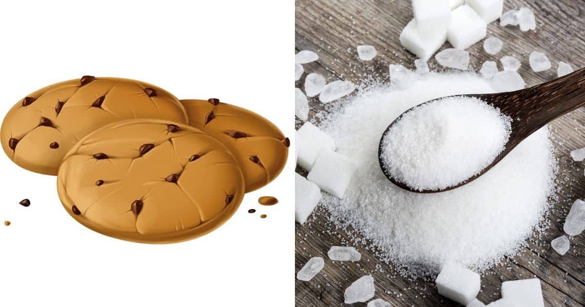 The Dangers of a "Normal" Sugar Intake | Paleo Leap