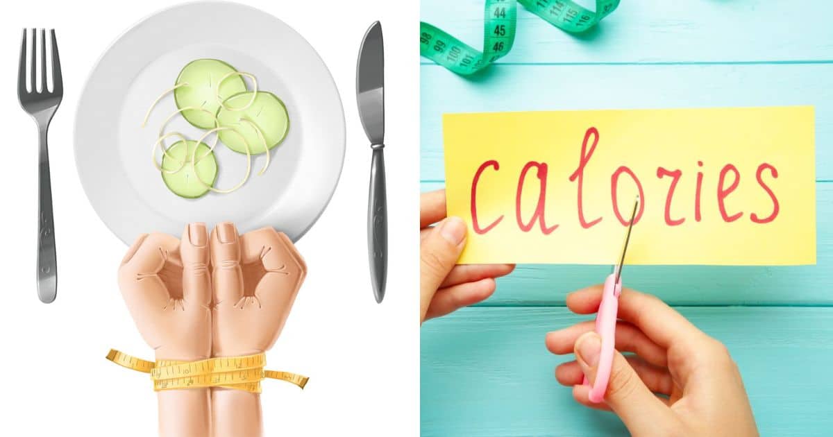 Calorie Restriction for Life Extension: What Are the Alternatives?