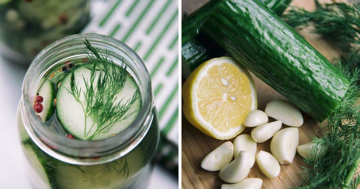 Simple Dill-Garlic Pickles Recipe | Paleo Leap