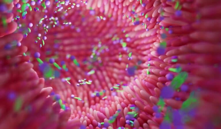 What Makes a “Healthy” Gut Biome? Gut Bacterial Diversity and how to ...