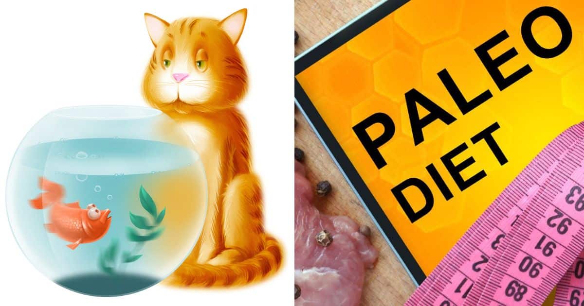 5 Paleo Diet and Lifestyle Strategies to Prevent and Minimize Cravings ...