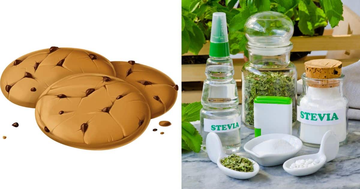 7 Things to Know about Sweeteners on Keto | Paleo Leap