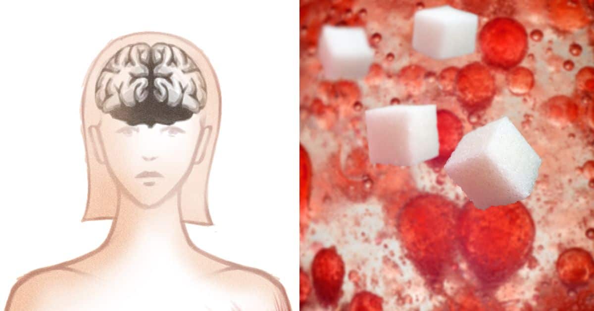 Metabolic Memory: How High Blood Sugar Affects Health After it's Gone