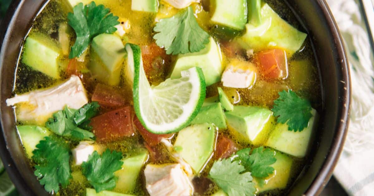 Chicken And Avocado Soup Recipe | Paleo Leap