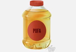 The Many Dangers Of Excess PUFA Consumption | Paleo Leap