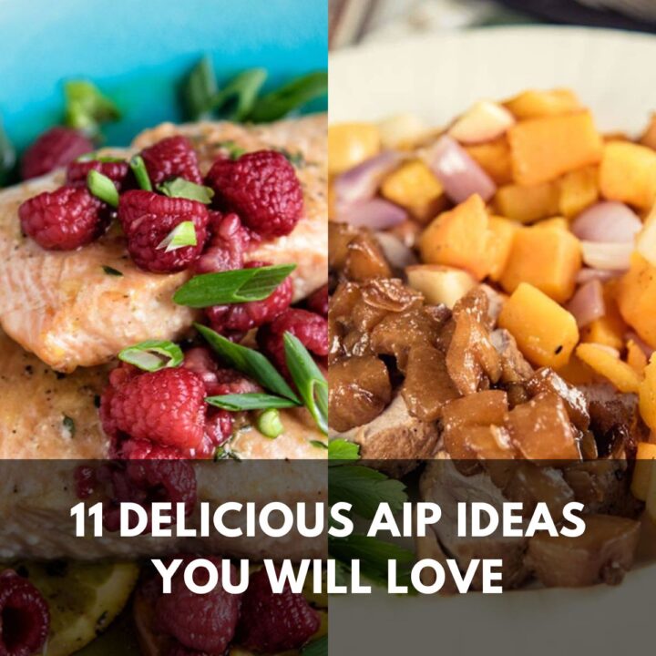 11 Delicious AIP Ideas You Will Love (Healthy & Quick) | Paleo Leap