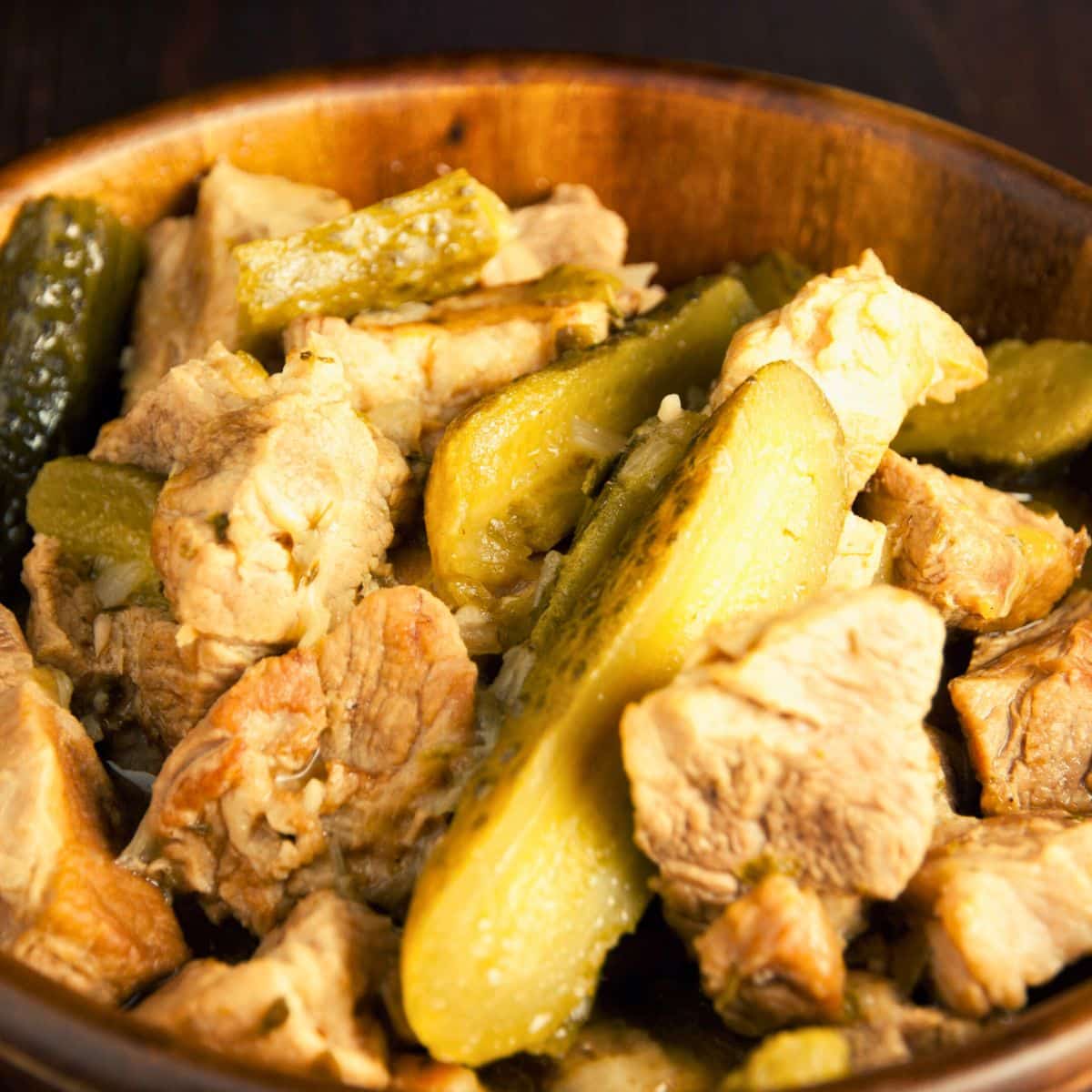 Pork Shoulder And Sour Pickle Stew | Paleo Leap