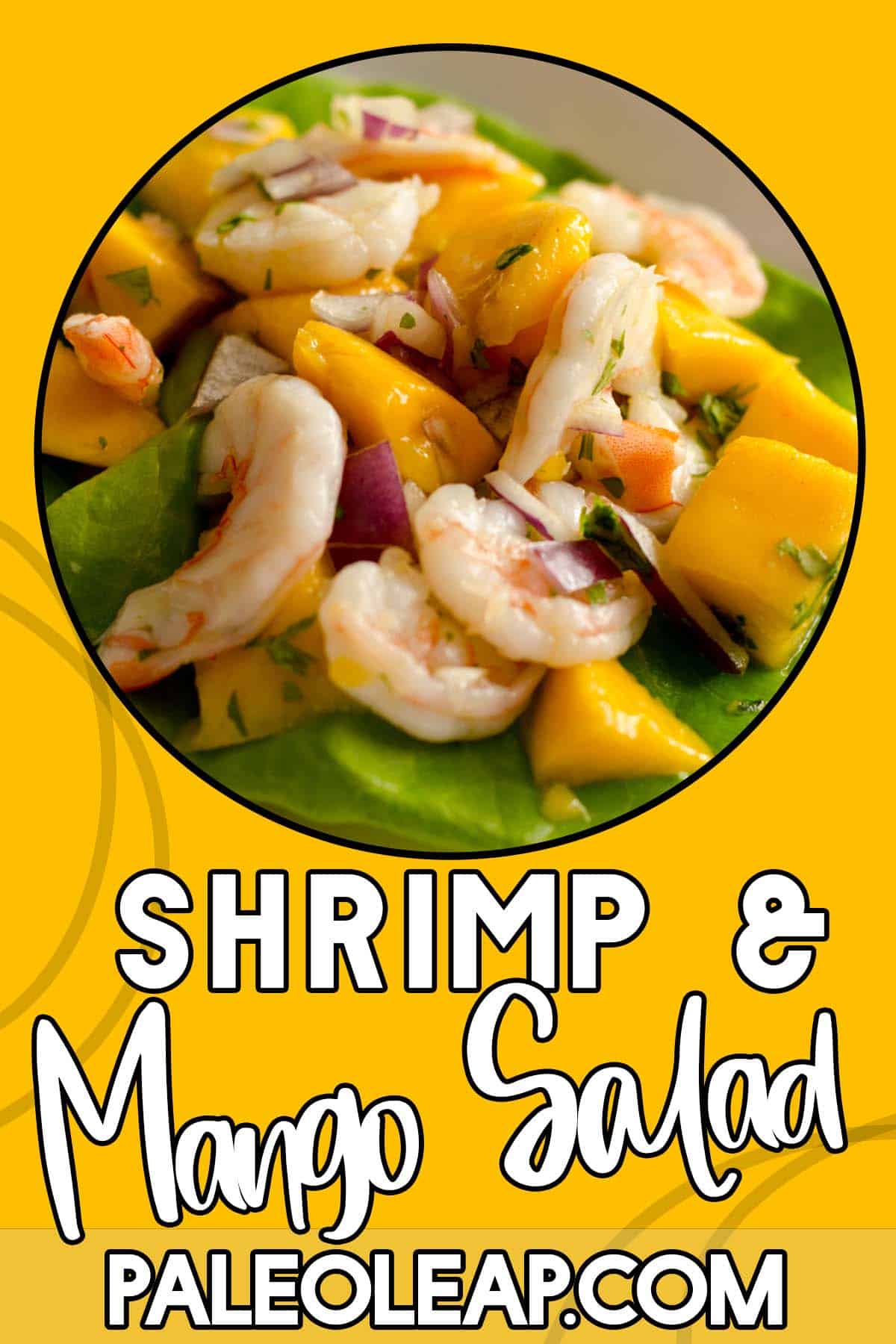 Shrimp and Mango Salad with Pineapple Vinaigrette | Paleo Leap