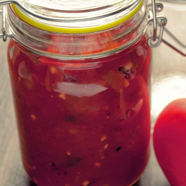 Fermented Food Recipes | Paleo Leap