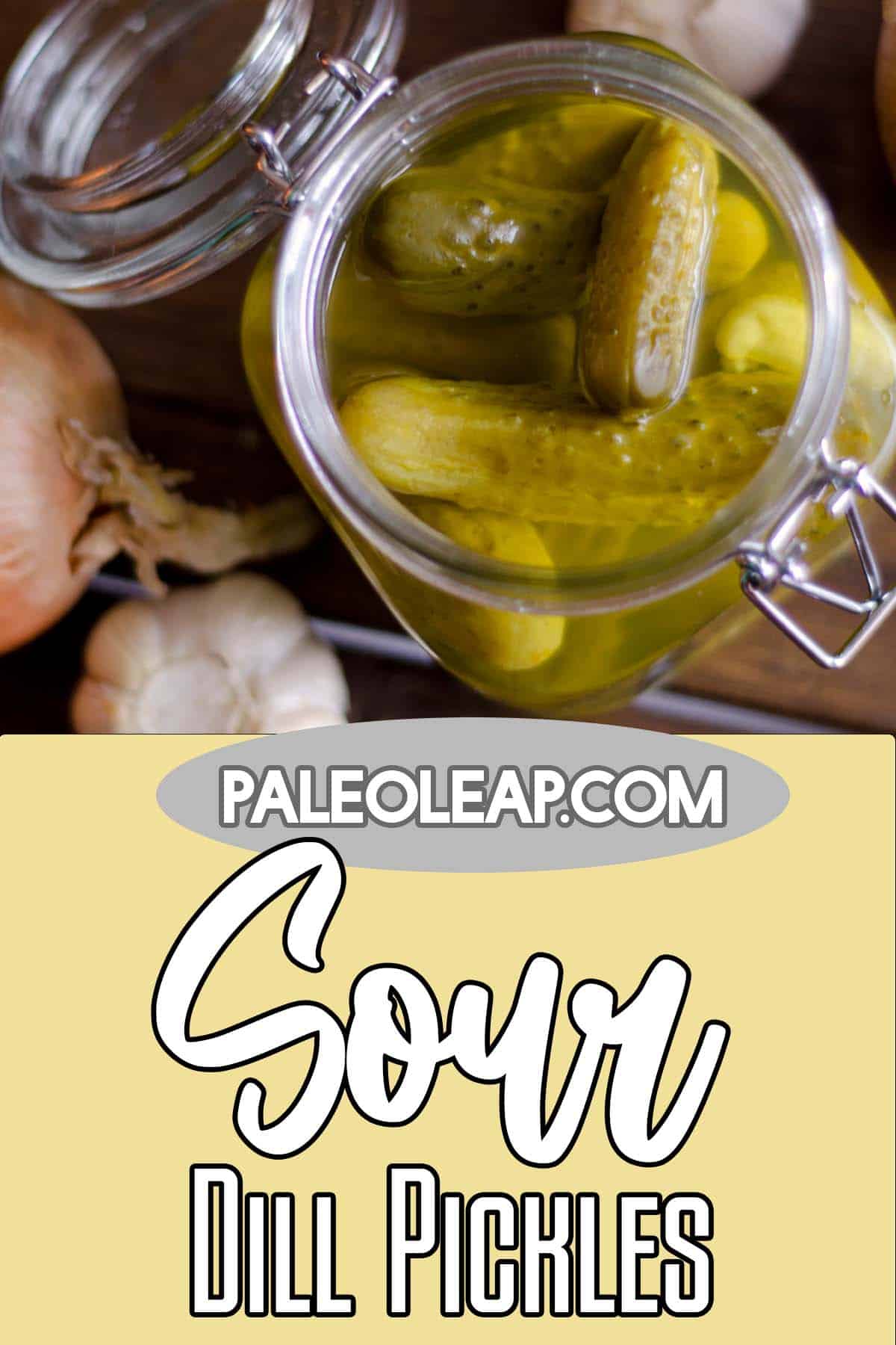 Paleo Sour Dill Pickles | Paleo Leap