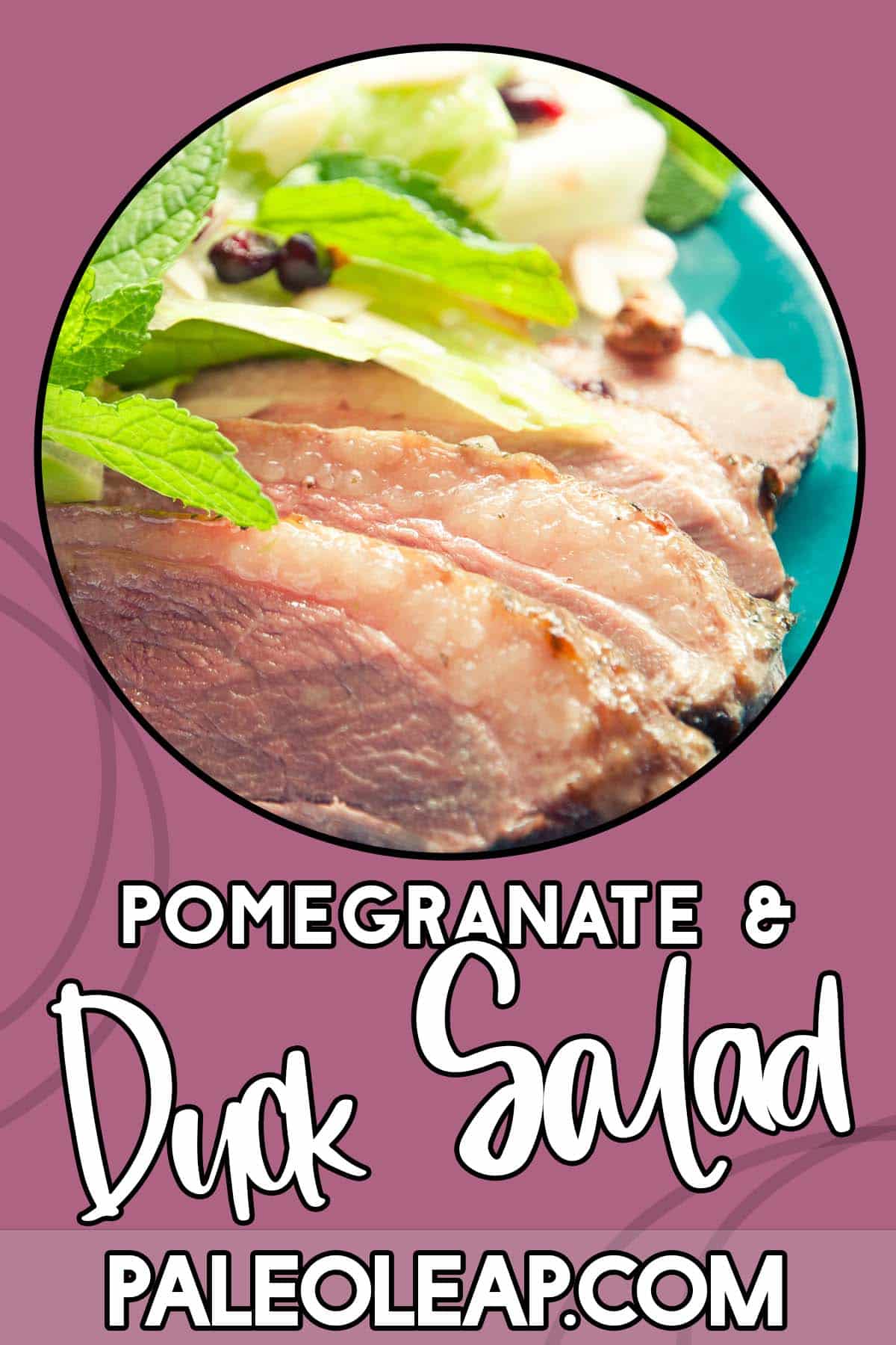 Duck And Pomegranate Salad Paleo Leap